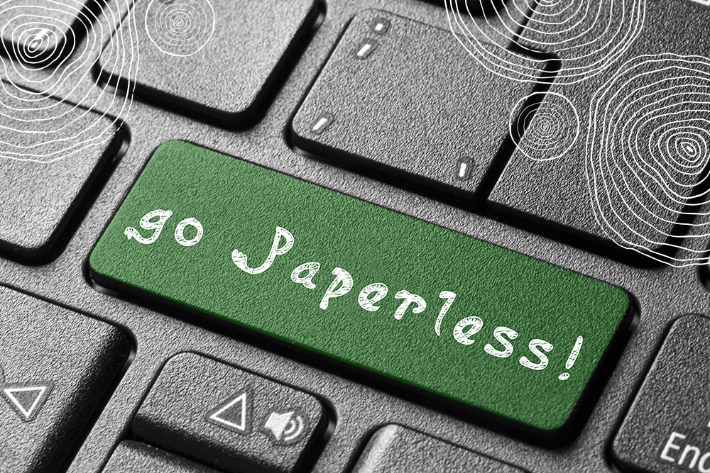 Erasmus Without Paper: when can I start?